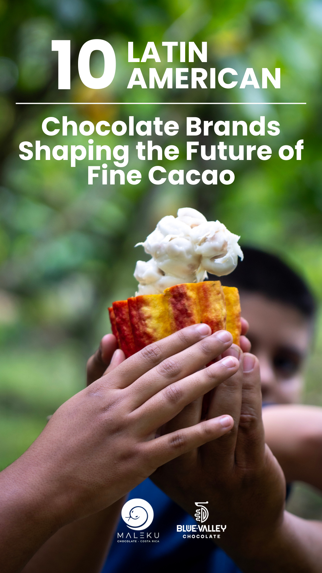 10 Latin American Chocolate Brands Shaping the Future of Fine Cacao in ...