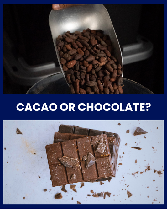 Why Guanacaste Is Becoming the Chocolate Capital of Costa Rica | Blue ...